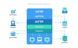 What Is HTTP in Computer Science? Understanding Its Role in Web Communication